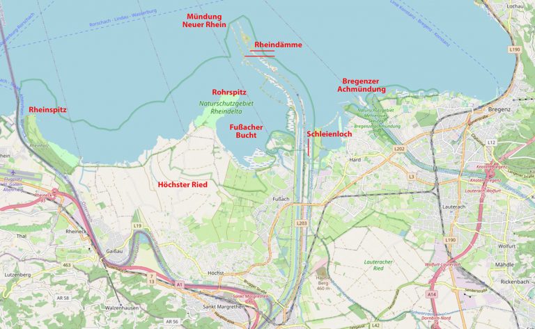Rheindelta und Bregenzer Achmündung (Vorarlberg) – Vögel beobachten mit ...